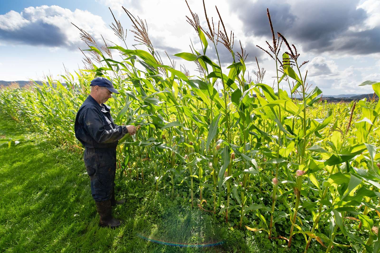 Miljø og klima - Landbruksdirektoratet